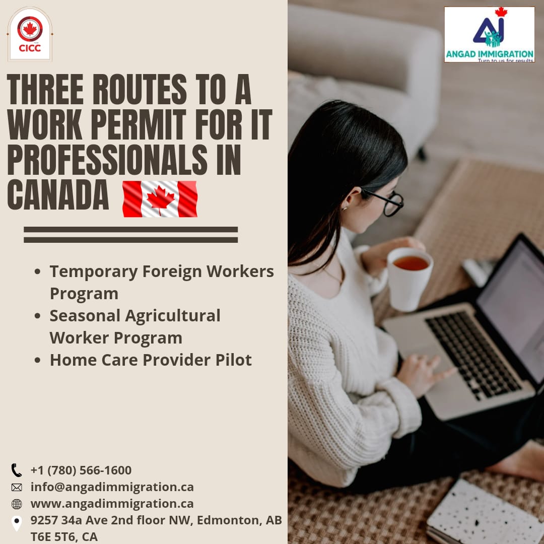 Three Routes to a Work Permit for IT Professionals in Canada ...